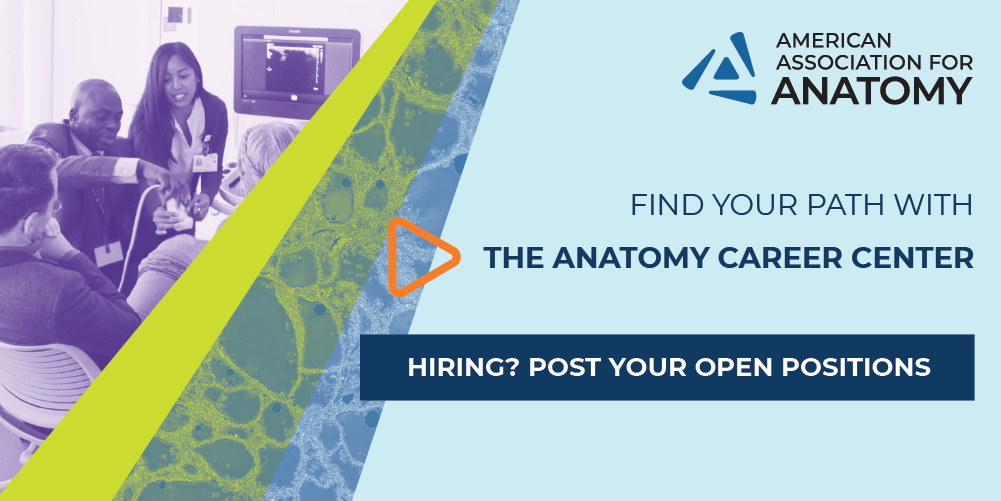 Careers Related To Anatomy